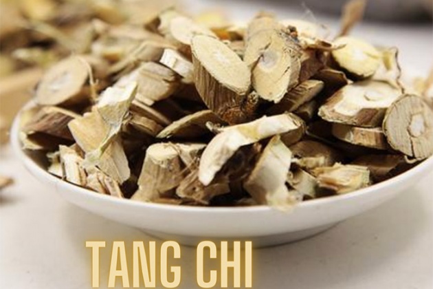 Tang Chi là gì? Công dụng của tang chi đối với sức khỏe